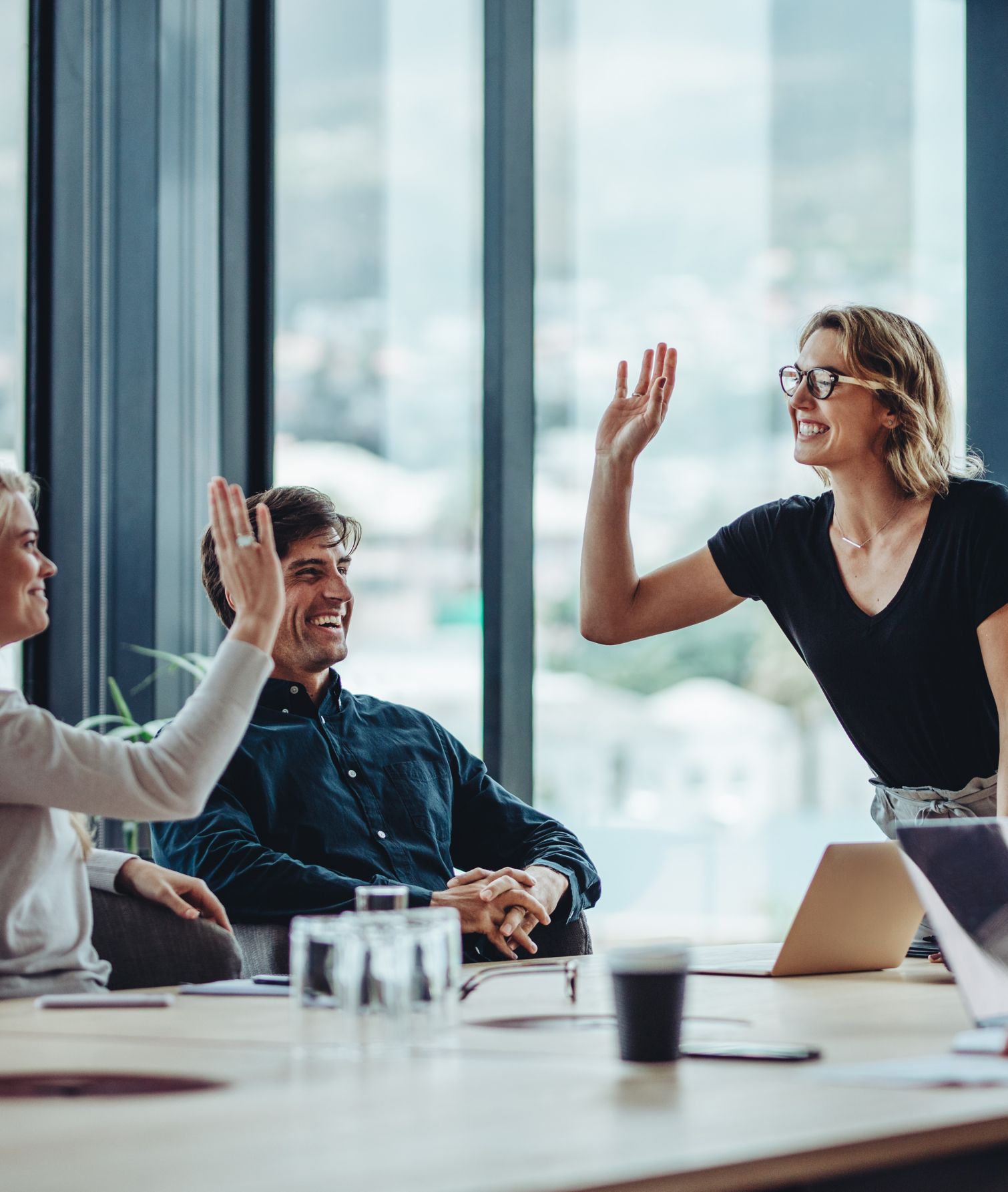 Tcs Mastercraft Logo