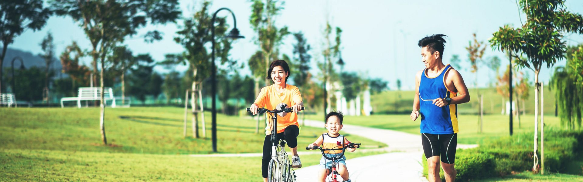 Agent Internet Access