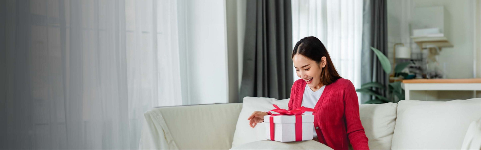 Agent Internet Access