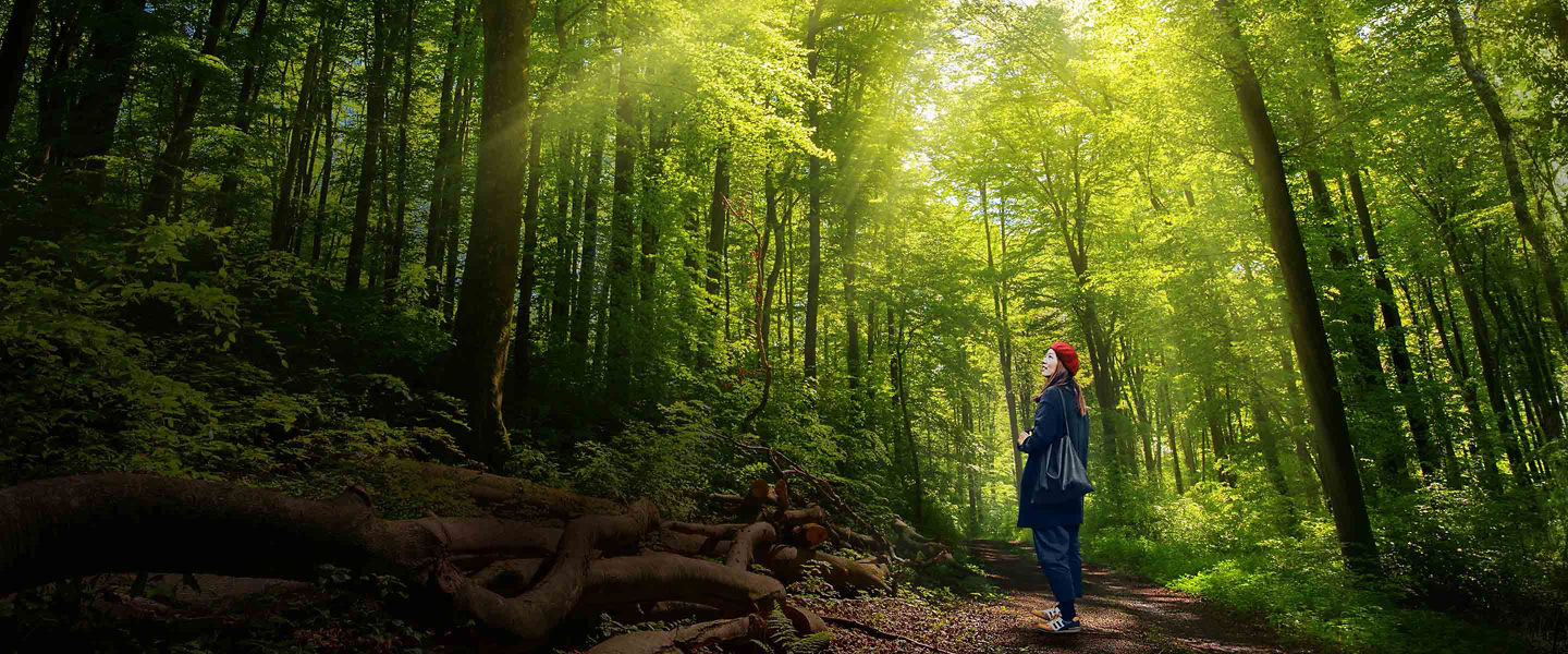 Agent Internet Access