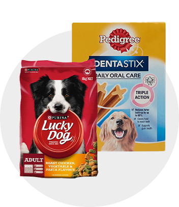 Dog | Pets | BIG W