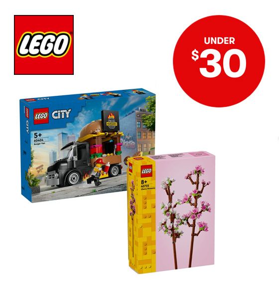 Top Toys for 2025 | BIG W