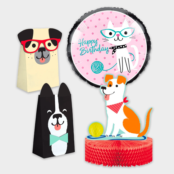 Party Themes | BIG W