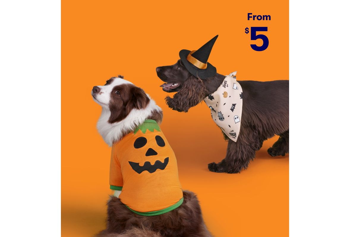 Halloween | BIG W