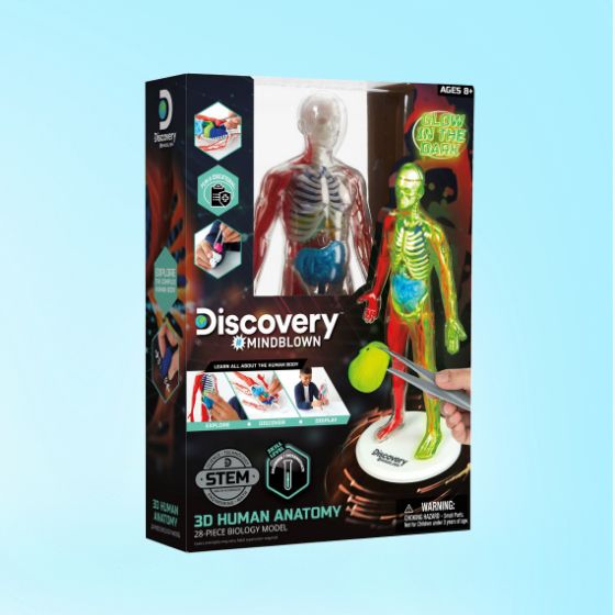 Back to School | School Supplies | BIG W