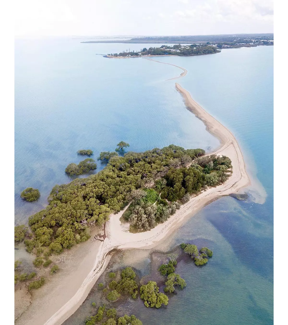 How to Go Island-Hopping in Moreton Bay | Queensland