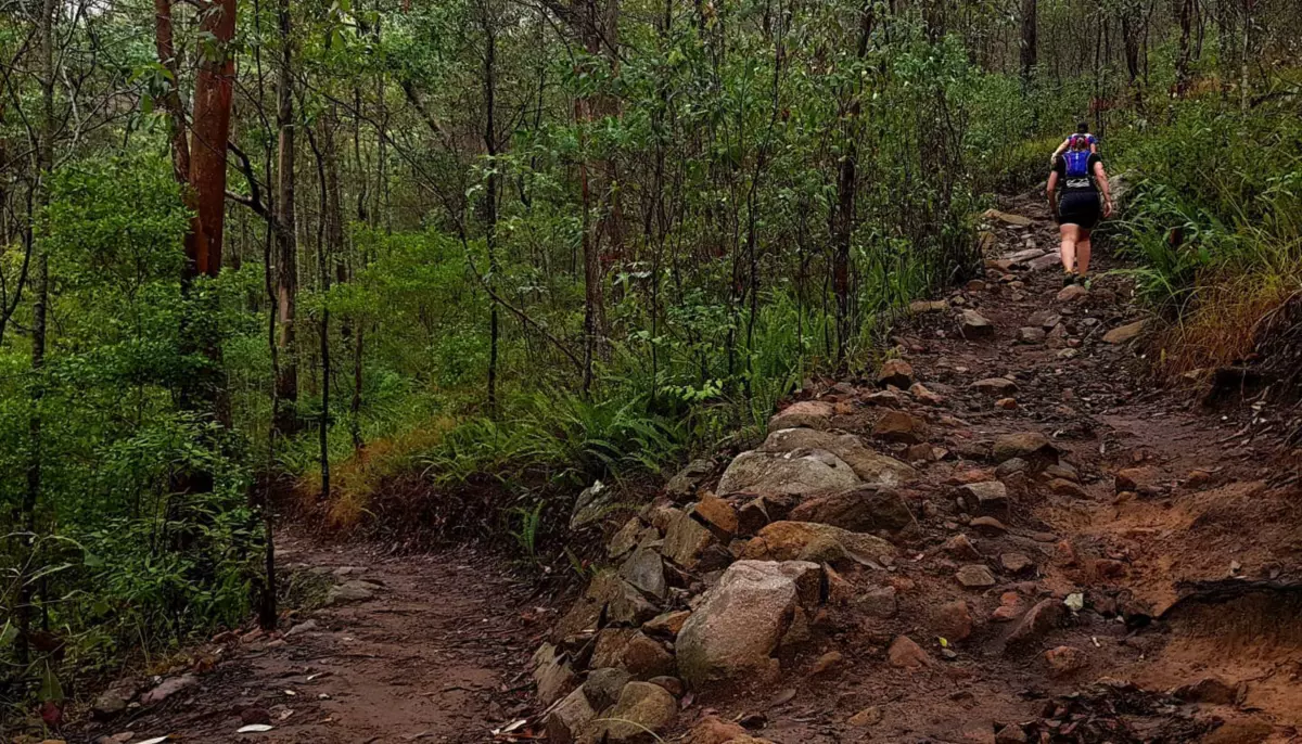What to Do at Brisbane's Mount Coot-tha for Adventure | Queensland