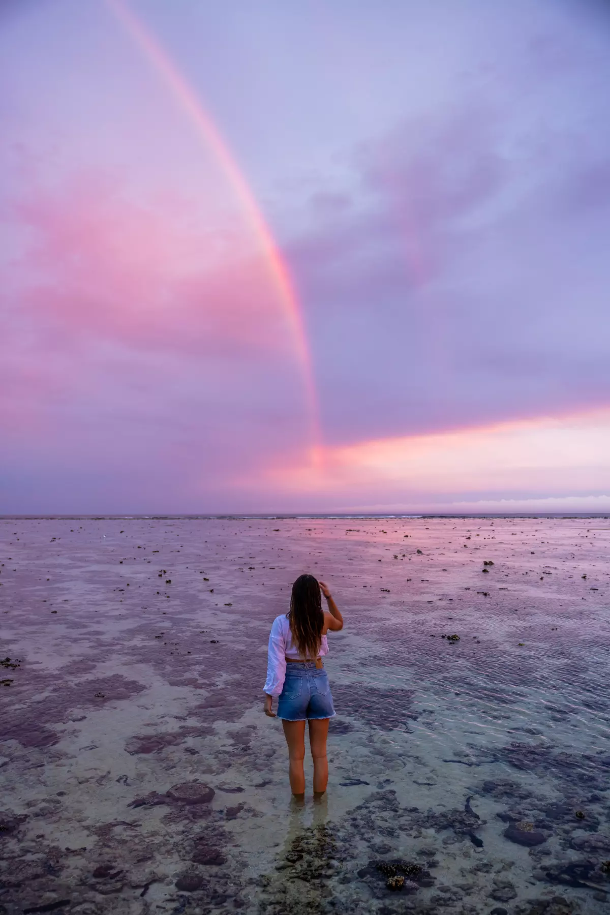 Lady Elliot Island - Things You Didn’t Know | Queensland