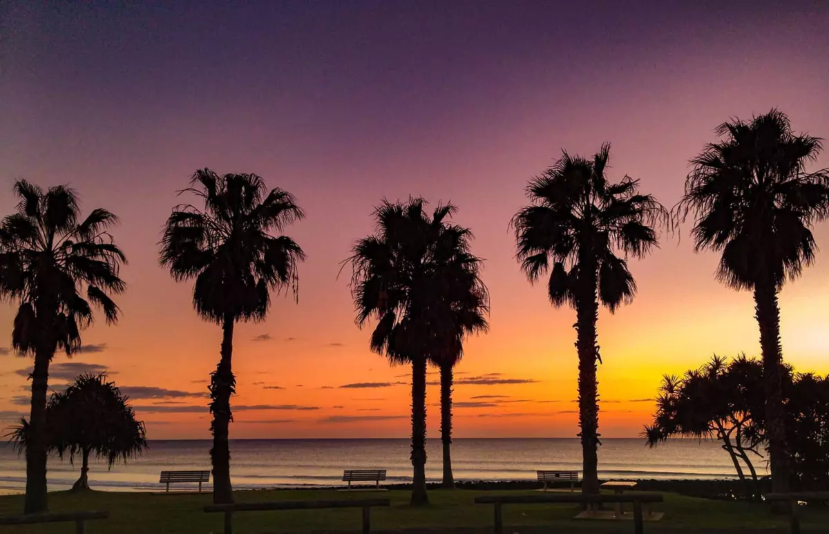 Whale-Watching in Bundaberg: Tours and Experiences | Queensland