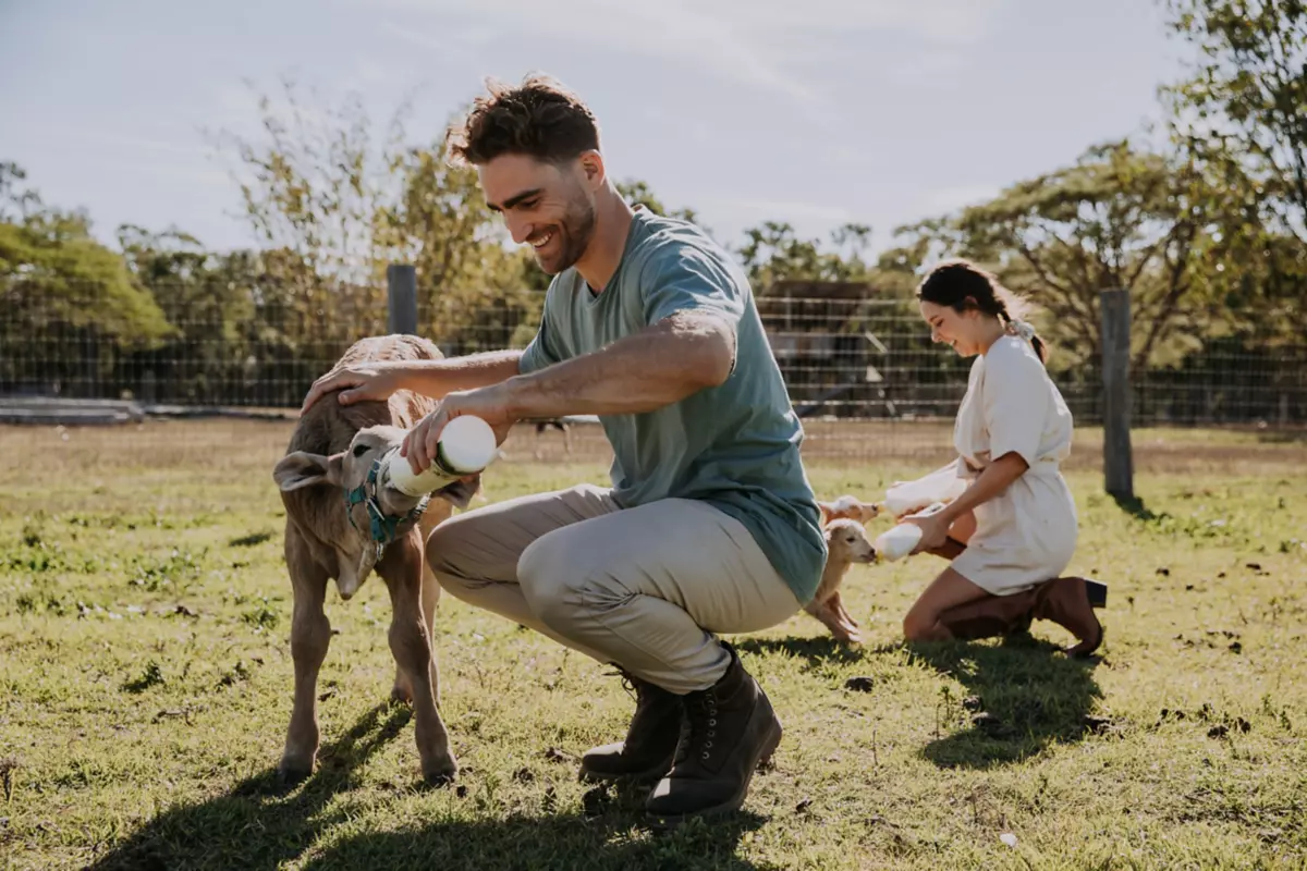 Things to Do Bundaberg - Attractions and Activities | Queensland