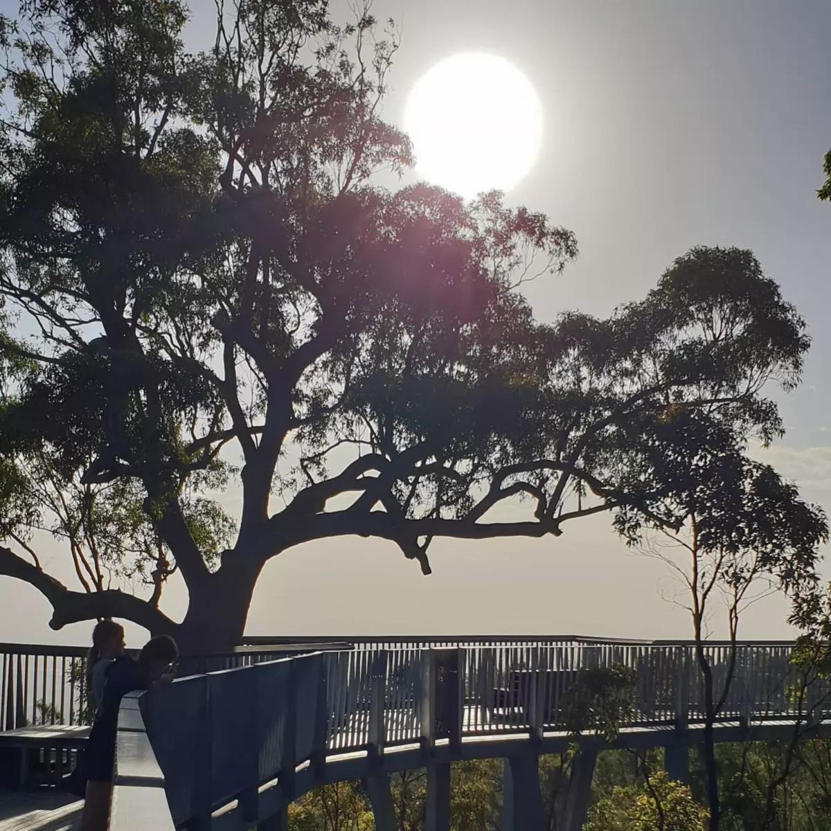 Visit These National Parks Near Rockhampton | Queensland