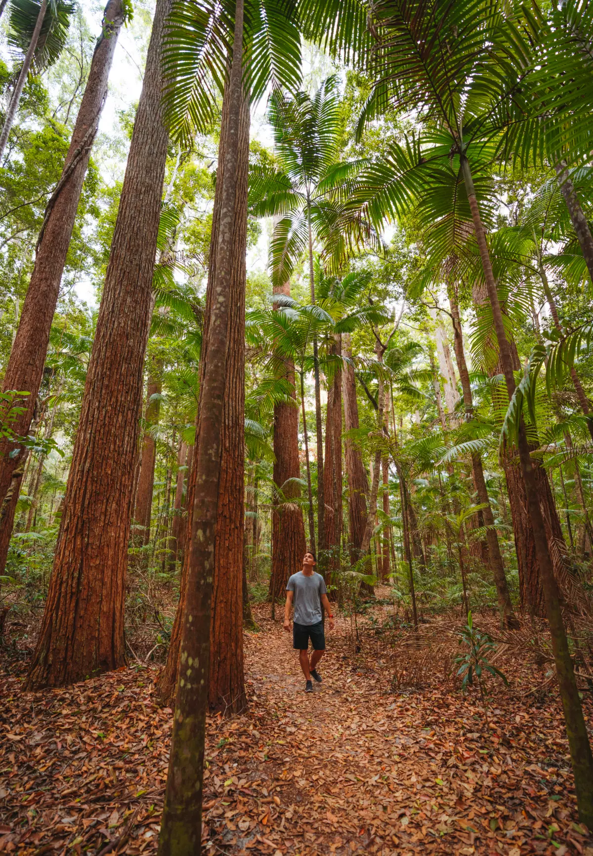 Introducing Australia’s Nature Coast Drive | Queensland