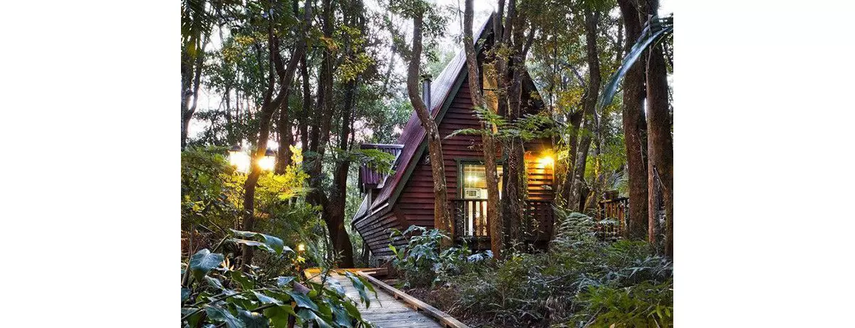 The Most Memorable Things to do in the Gold Coast Hinterland | Queensland