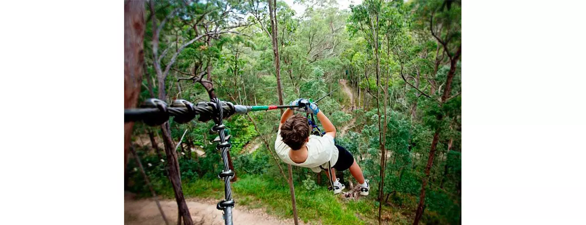 The Most Memorable Things to do in the Gold Coast Hinterland | Queensland