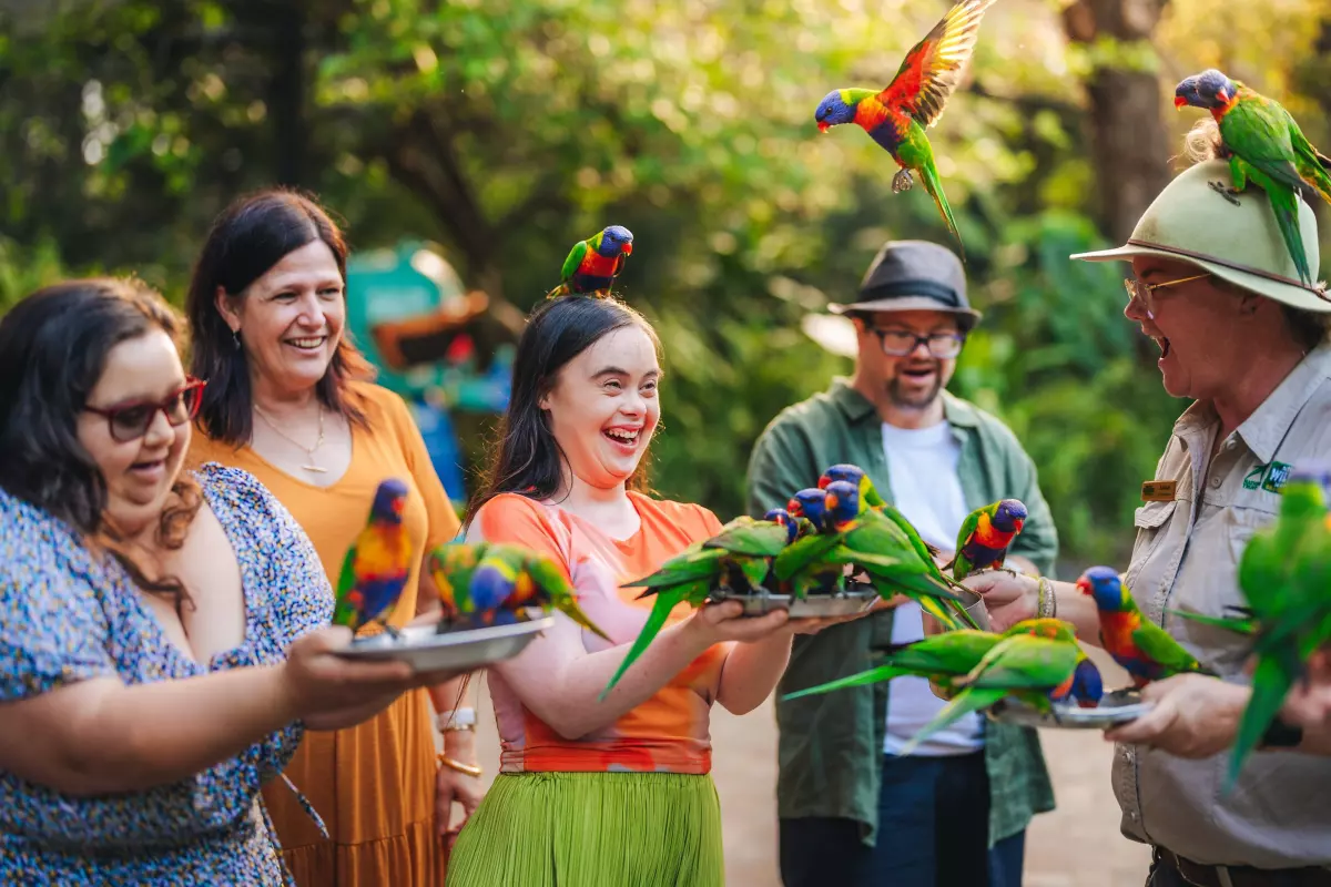 Must-See Natural Attractions On the Gold Coast | Queensland