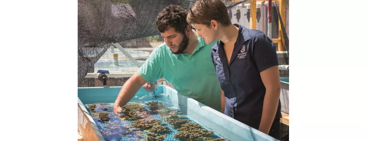 The Top 10 Great Barrier Reef Facts | Queensland