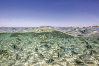 Visit Southern Great Barrier Reef - Plan Your Trip | Queensland