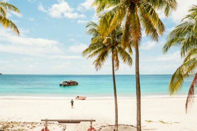 Visit Mackay - Attractions and Things to See | Queensland