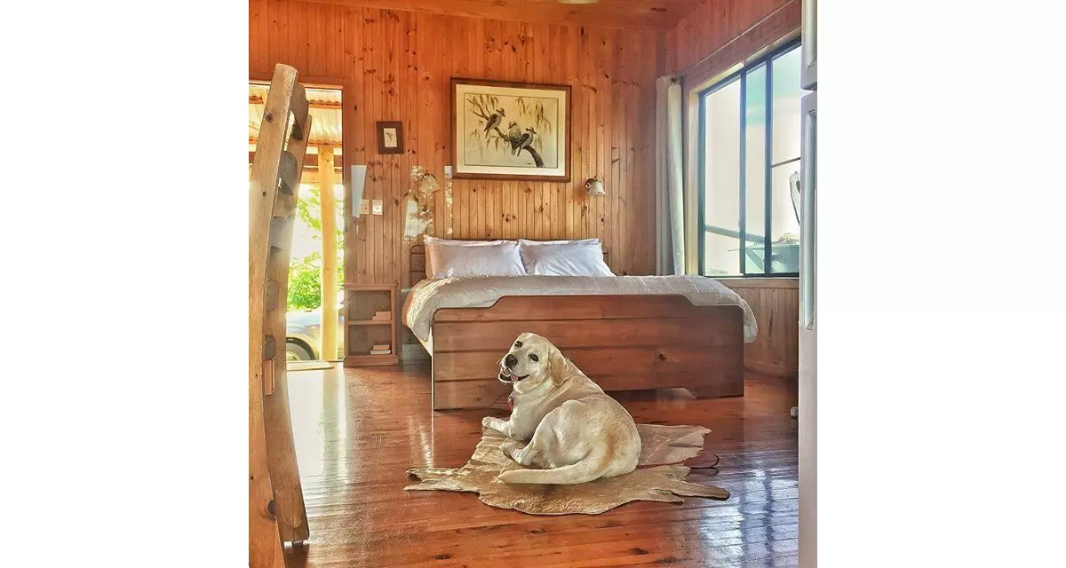 Best Queensland Farm Stays and Farm Cottages | Queensland