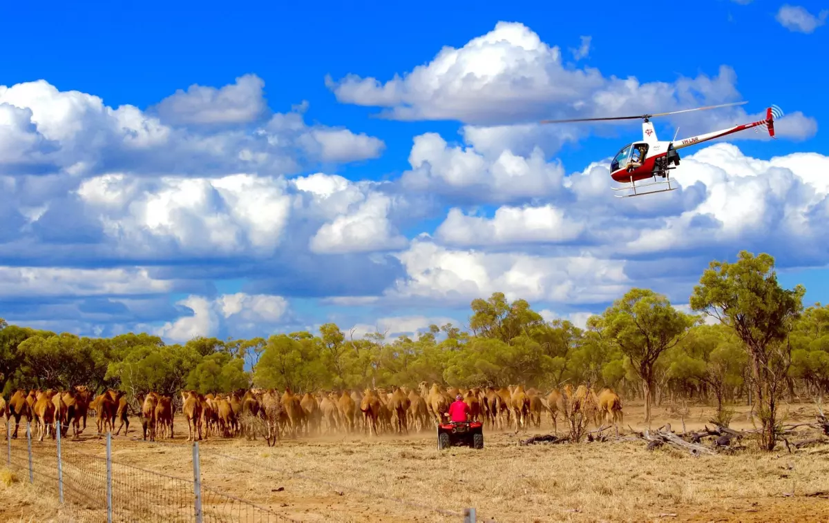 The Best Queensland Adventure Experiences For Adrenaline Junkies ...