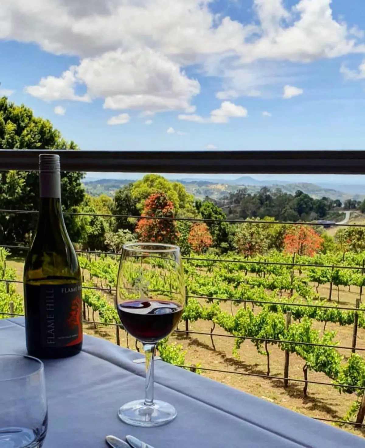 Queensland's Best Wineries and Cellar Doors | Queensland