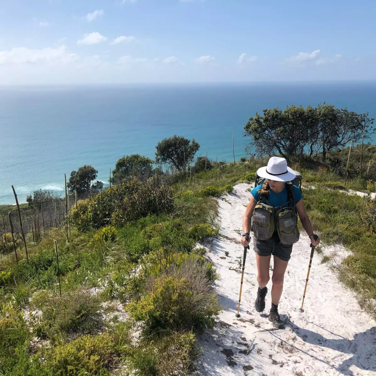 Why You Need to Do the Cooloola Great Walk | Queensland