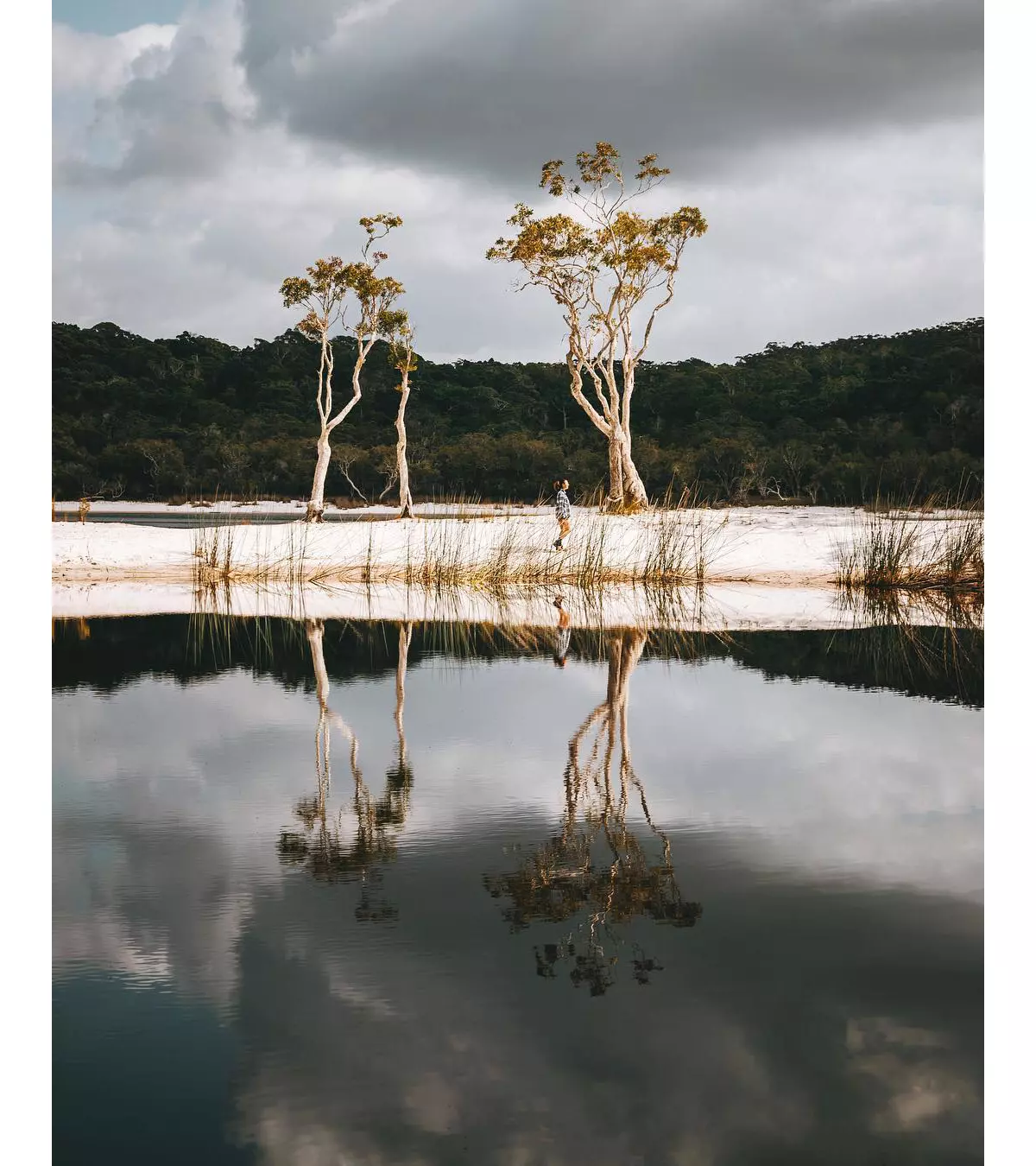 Why You Need to Do the Cooloola Great Walk | Queensland