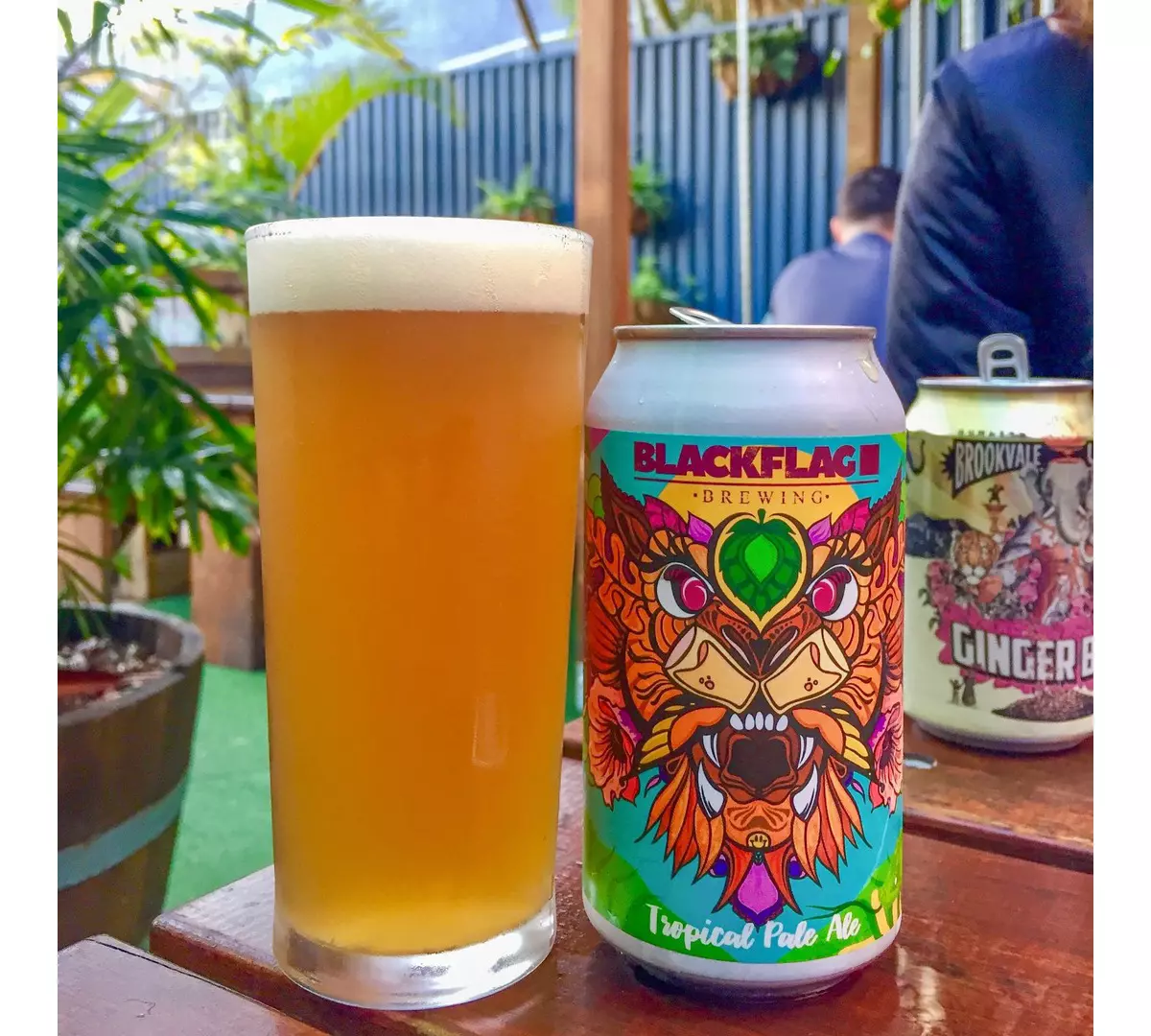 17 Must-Visit Sunshine Coast Craft Beer Breweries | Queensland