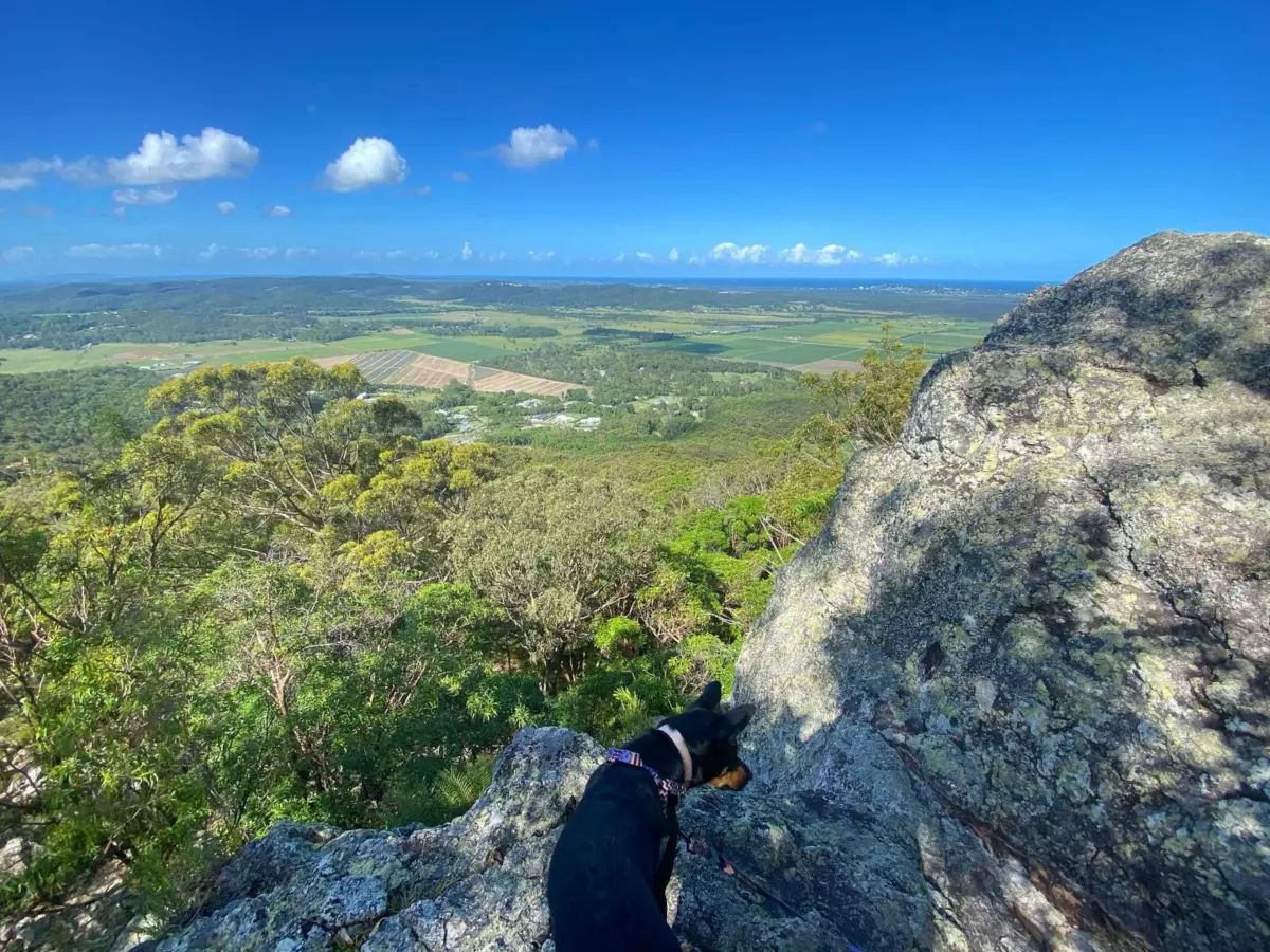 Climb Six Mountains In One Day - Sunshine Coast | Queensland