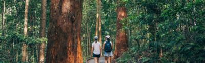 Camping Guide - Queensland National Parks | Queensland
