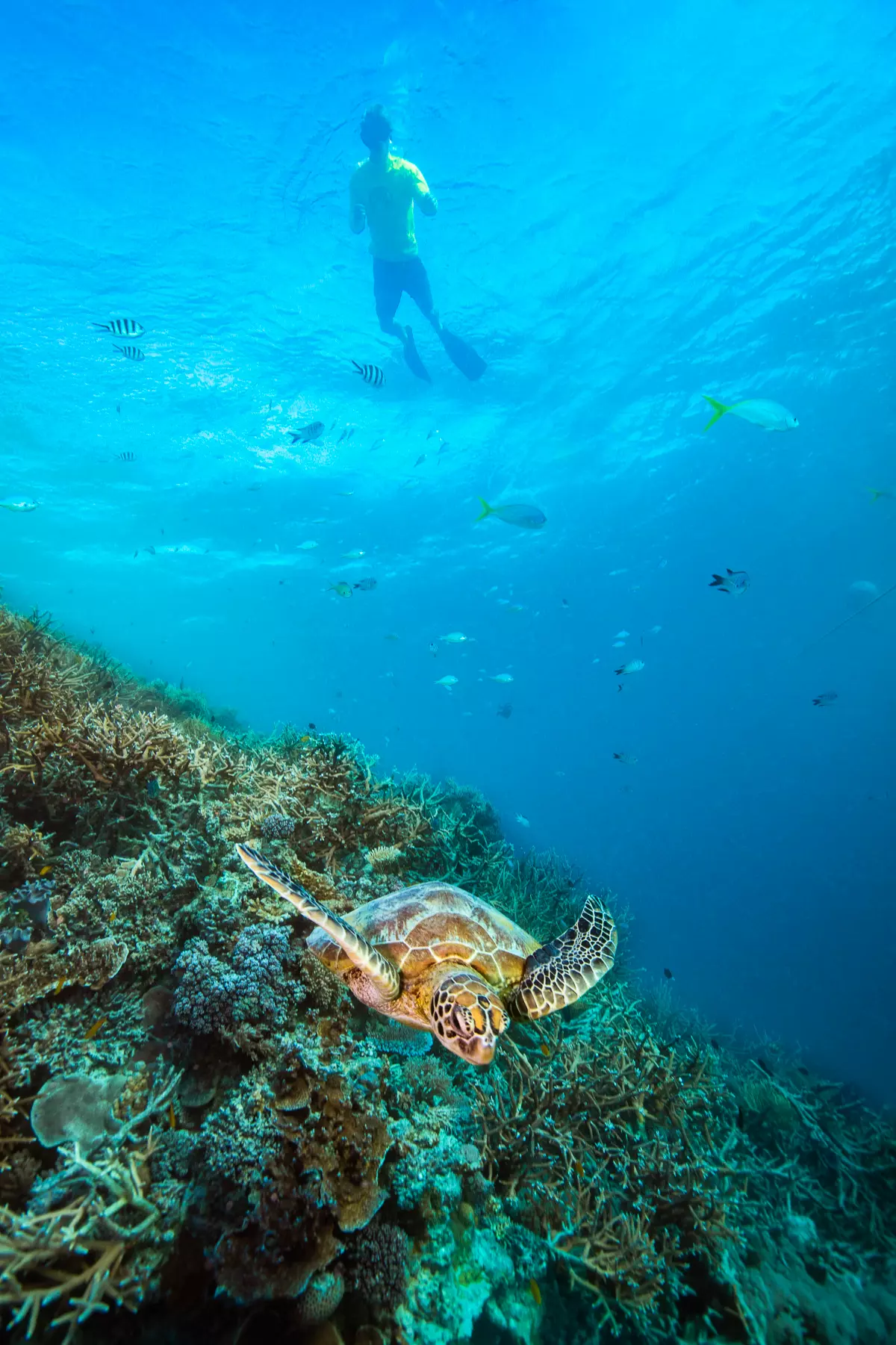 The Best 7-Day Coastal Queensland Family Road Trips | Queensland