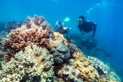 Visit The Great Barrier Reef