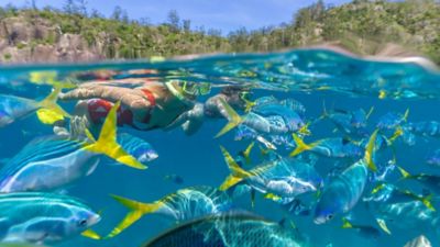 How to Holiday on Hook Island in The Whitsundays | Queensland