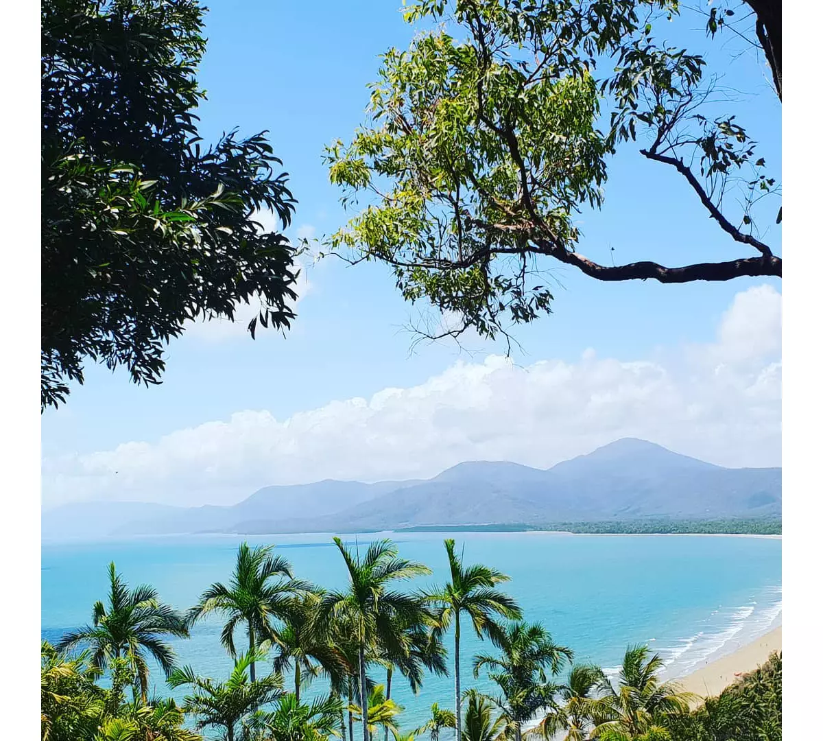 How To Do The Reef: Cairns and Great Barrier Reef three day itinerary ...