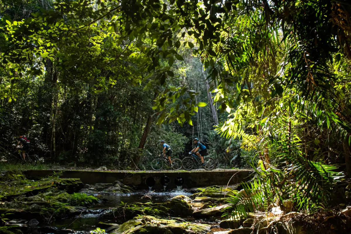 12 of the Best Adventure Activities to Do In Cairns | Queensland