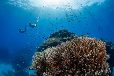 Visit Cairns and Great Barrier Reef - Tourist Attractions | Queensland