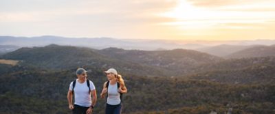 How to Do Springbrook National Park, Gold Coast Hinterland | Queensland