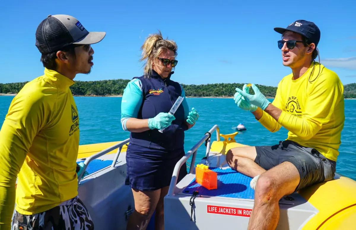 Meet Master Guide Reef James Unsworth from Ocean Rafting | Tourism and ...