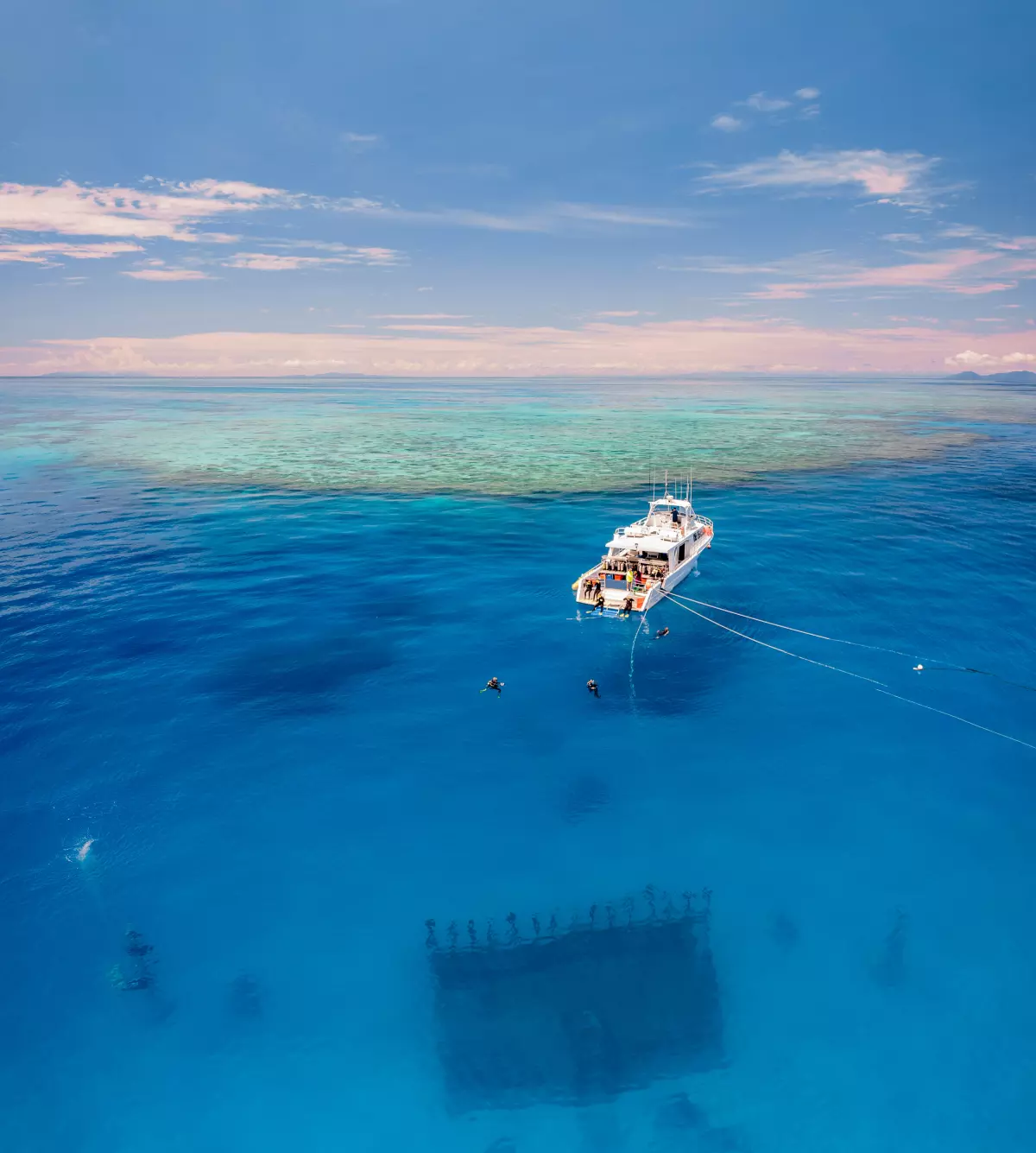 Austrailian Great Barrier Reef Art Townsville's Museum Of Underwater