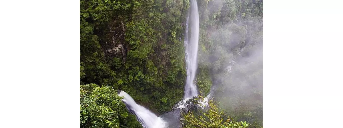 Guide to the waterfalls of Gondwana Rainforest | Queensland