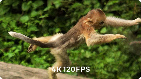 Snapdragon Camera | Qualcomm