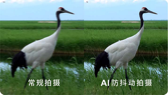 Snapdragon Camera | Qualcomm