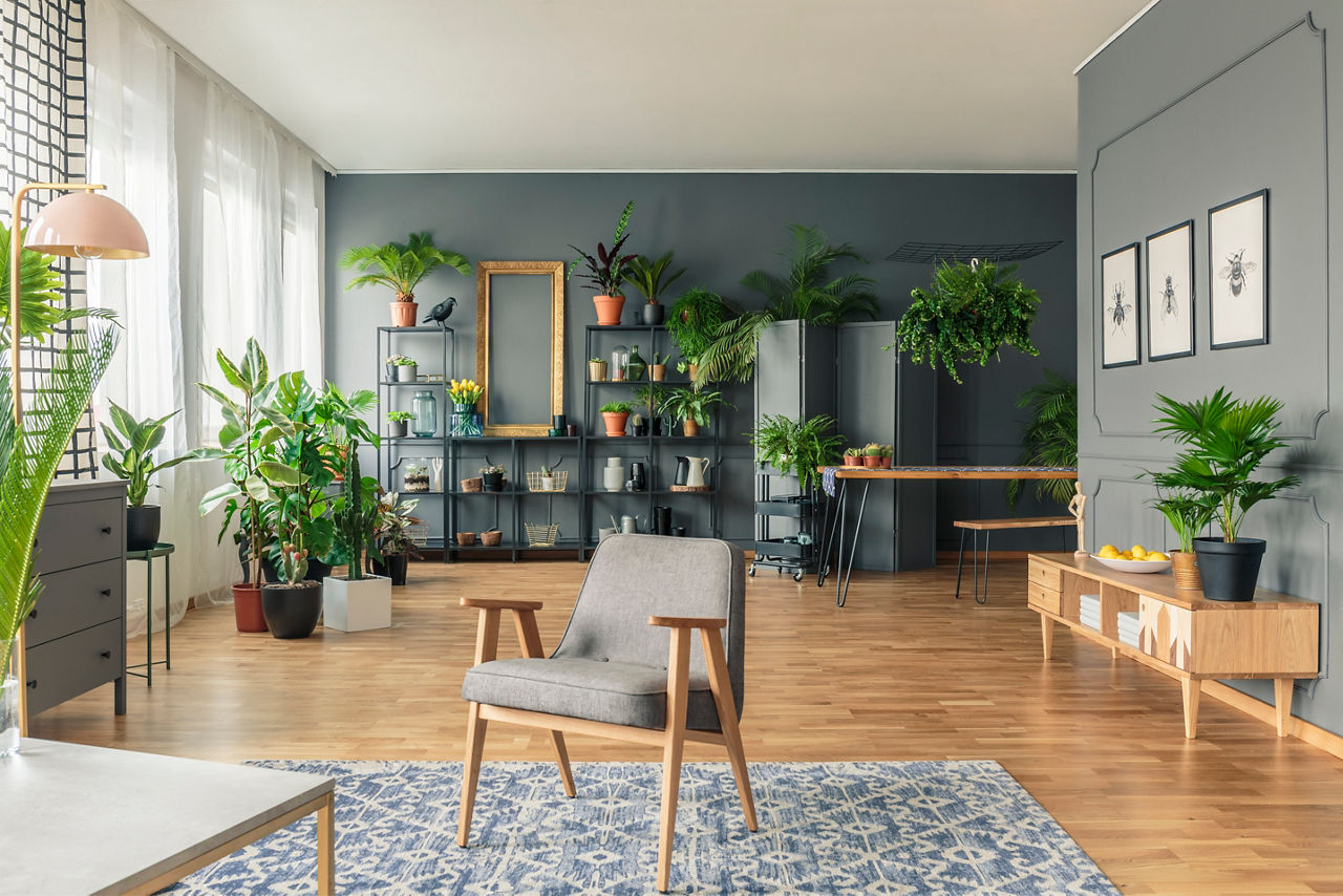 Tropical Interior Decor : 5 Ways To Infuse Tropical Flair Into Your Decor