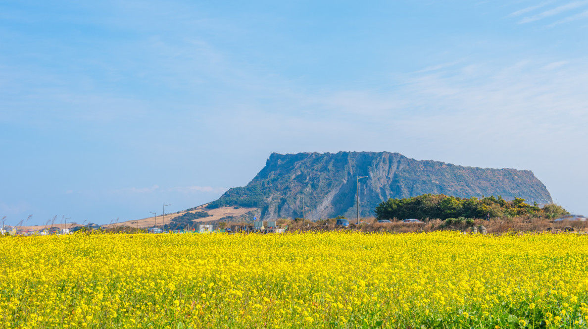 The Wanderlust Notebook