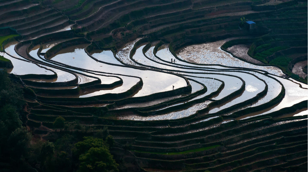 Seoul Travel & Beyond: Best Time to Visit South Korea for All Four ...