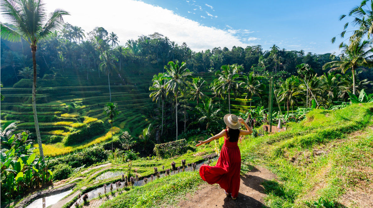 Seoul Travel & Beyond: Best Time to Visit South Korea for All Four ...