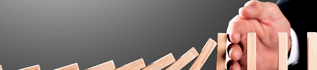 Strategy Formulation and Execution