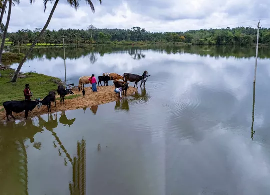 Supporting Livelihoods