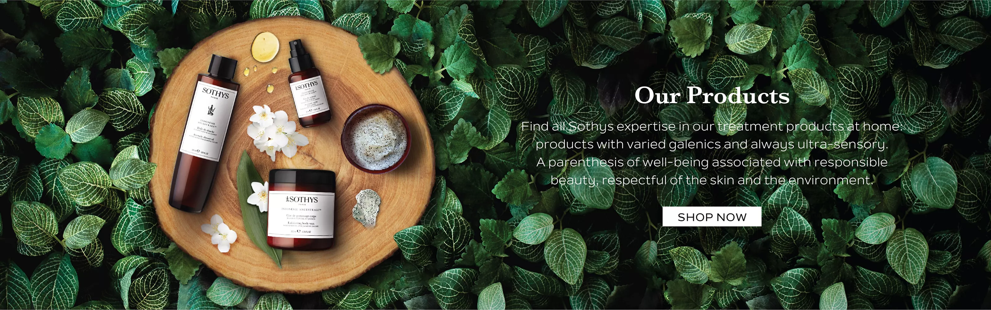 Sothy's Official Brand Store | KRISSHOP - SINGAPORE AIRLINES