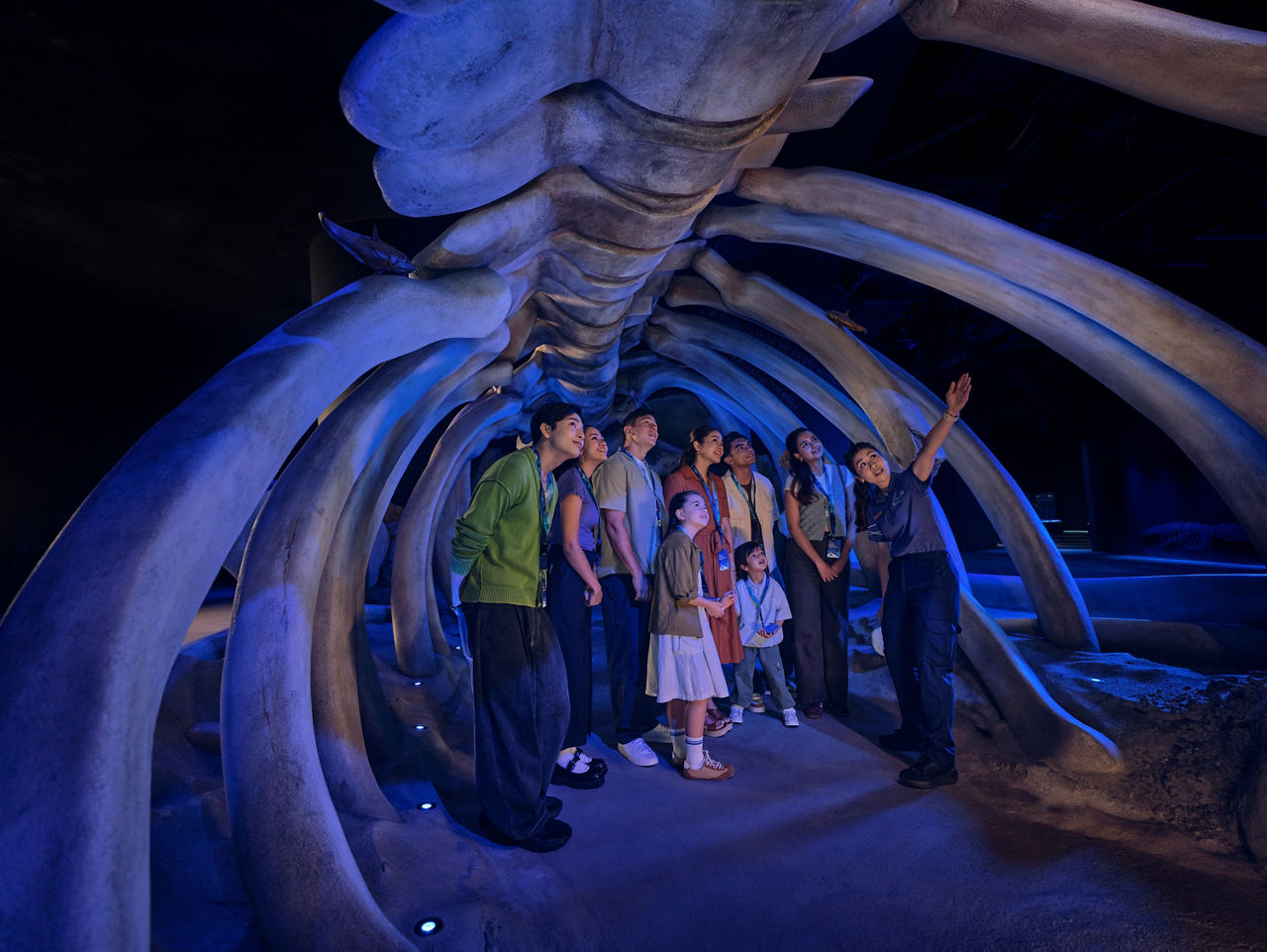 Axolotl | Singapore Oceanarium